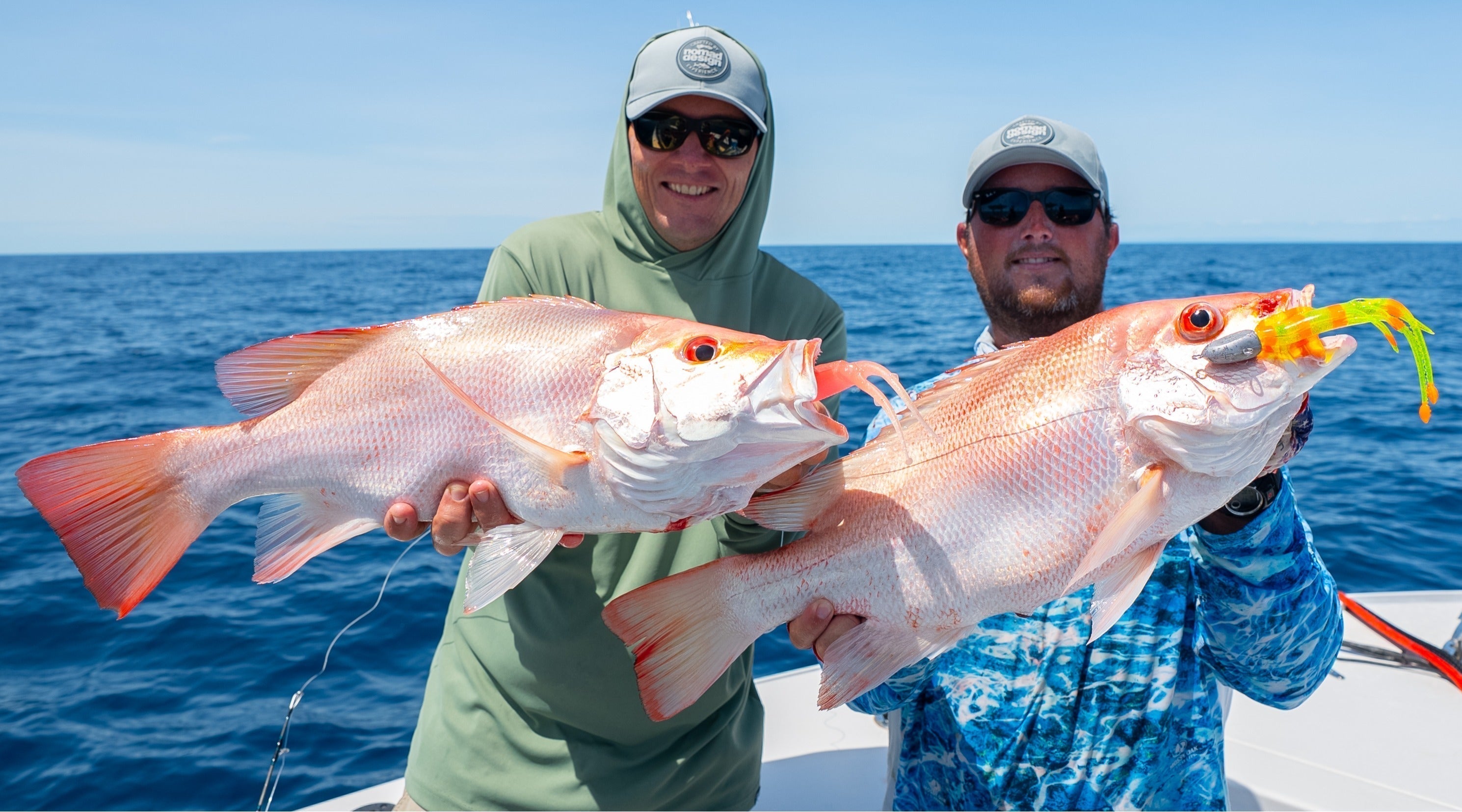 Next-Gen Reef Fishing with the New Live Ops Range – Nomad-Design ...