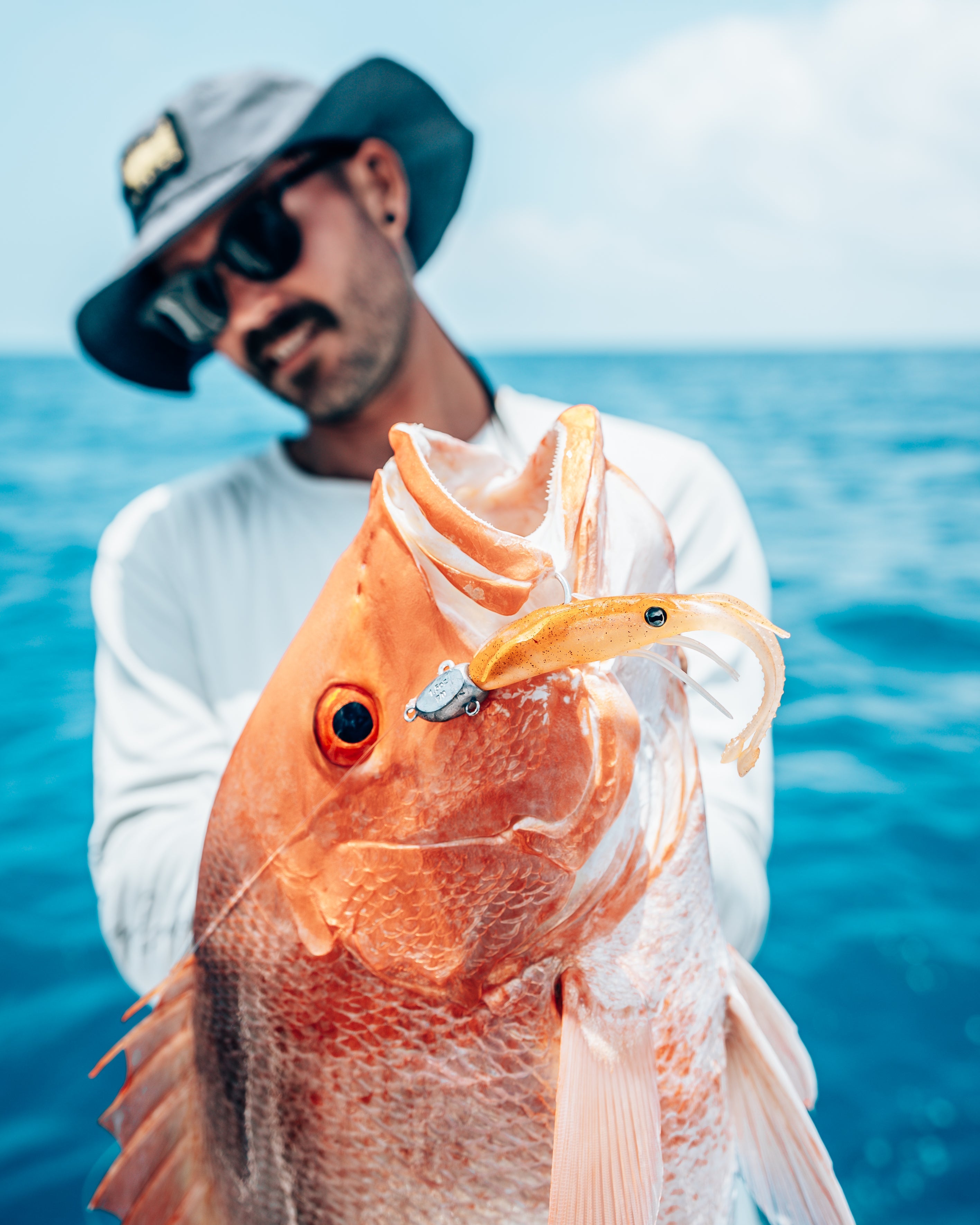 Live Ops Northern Reef Softbaits for Red Emperor Coral Trout and ...